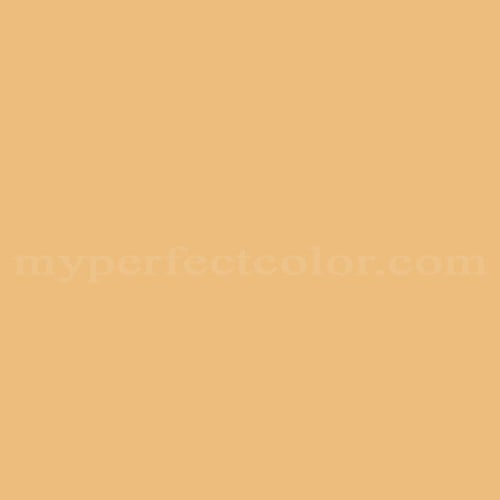 Behr 310D-4 Gold Buff Precisely Matched For Paint and Spray Paint