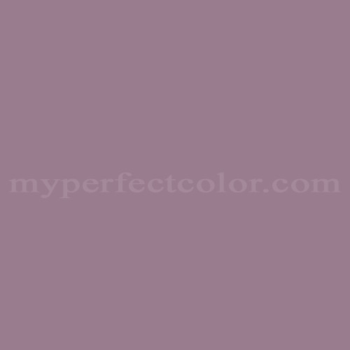 Behr S110-5 Garden Plum Precisely Matched For Paint and Spray Paint