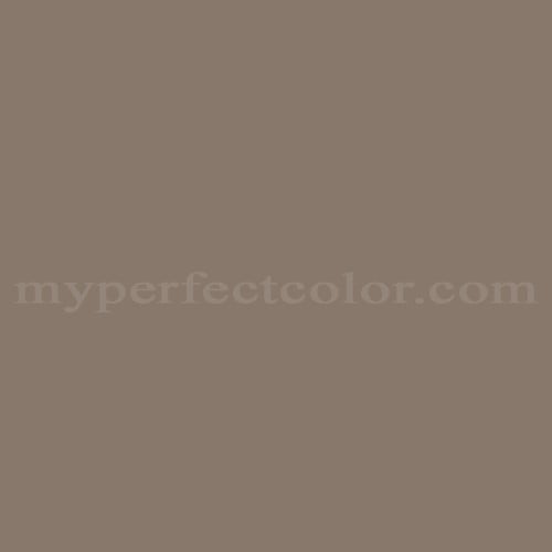 Benjamin Moore chocolate velvet CSP-235 Precisely Matched For Paint and ...