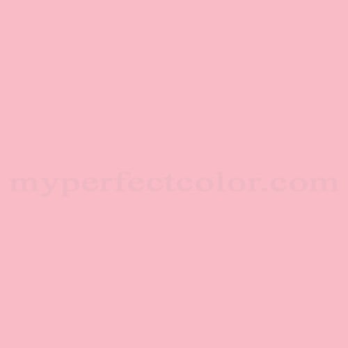Cloverdale Paint 8089 Ballet Slippers Precisely Matched For Paint and ...