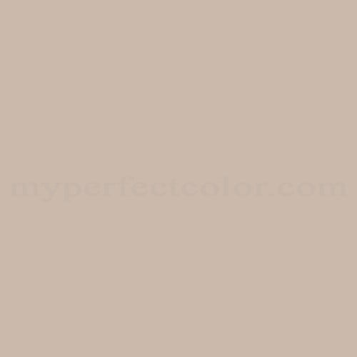 Cloverdale Paint 8770 Beige Rage Precisely Matched For Paint and Spray ...