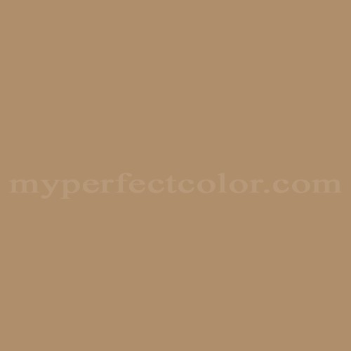 Color Guild 2339 D Spunky Spice Precisely Matched For Paint and Spray Paint