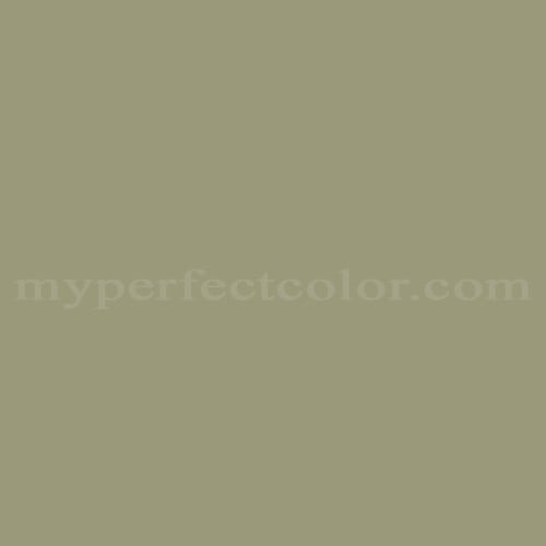Dulux 5-060 Grape Green Precisely Matched For Paint and Spray Paint