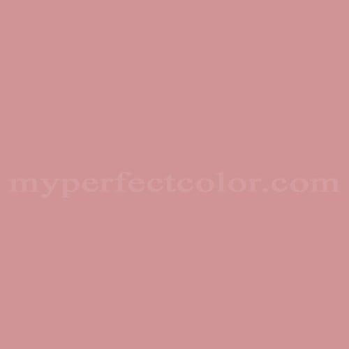 Dulux Rio Rose Precisely Matched For Paint and Spray Paint