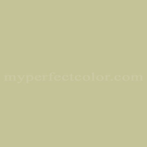 Martha Stewart D16 Seedling Precisely Matched For Paint and Spray Paint