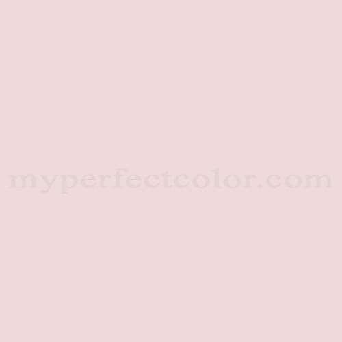 Pantone 12-2904 TPG Primrose Pink Precisely Matched For Spray Paint and ...