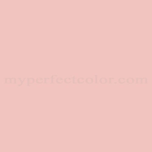 Pantone 13-1310 TPG English Rose Precisely Matched For Spray Paint and ...