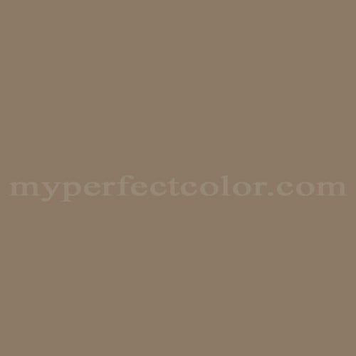 Pantone 17-1314 TPG Sepia Tint Precisely Matched For Spray Paint and ...