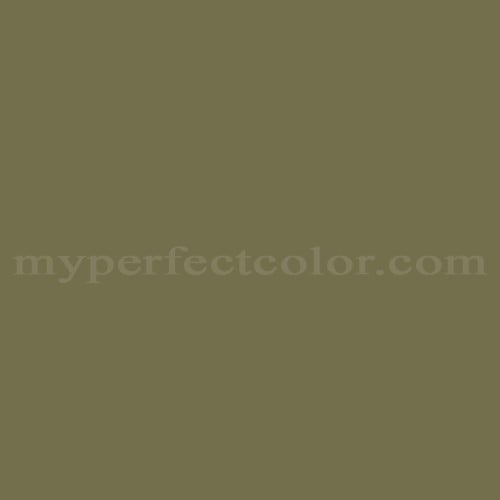 Pantone 18-0527 TPG Olive Branch Precisely Matched For Spray Paint and ...