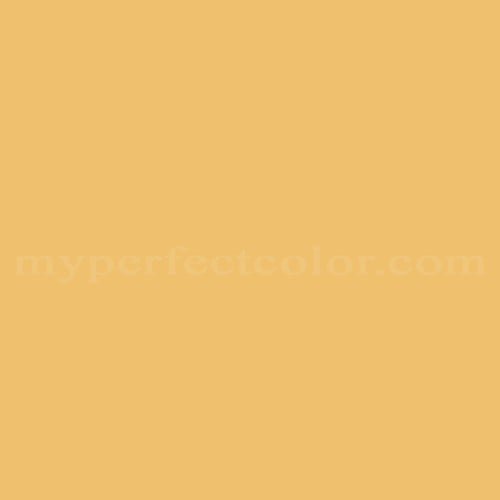 PMS 2008 C Paint | Brand & Marketing Applications