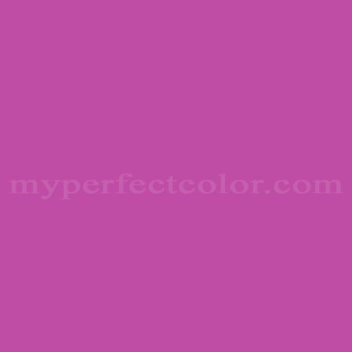 PMS 2353 C Paint | Brand & Marketing Applications