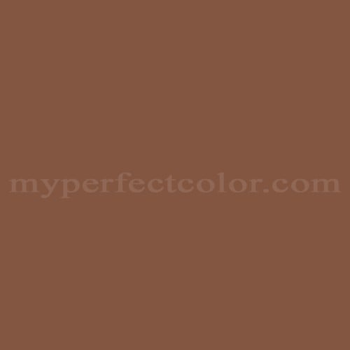 Milk Chocolate Color Paint