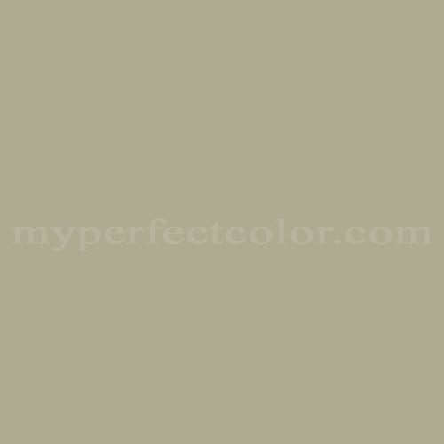 PPG Pittsburgh Paints 410-4 Olive Sprig Precisely Matched For Paint and ...