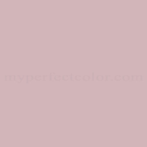 PPG Pittsburgh Paints 536-4 Rose Stain Precisely Matched For Paint and ...