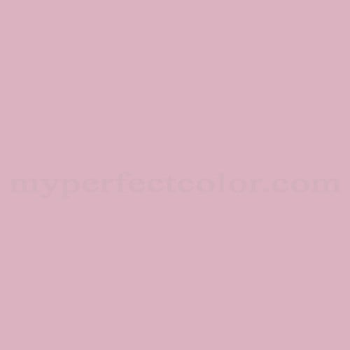 Richard's Paint 2033-T Baby Rose Precisely Matched For Paint and Spray ...