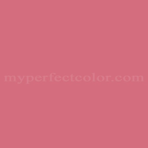 Richard's Paint 2087-D French Rose Precisely Matched For Paint and ...