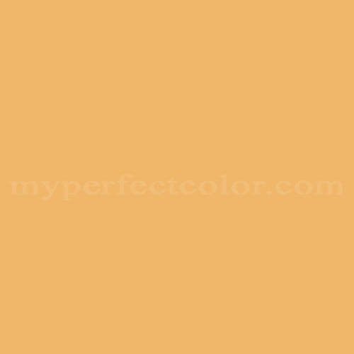 Sherwin Williams HGSW1154 Mellow Mango Precisely Matched For Paint and ...