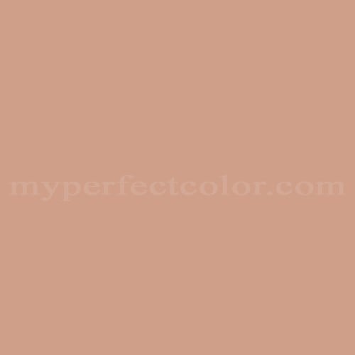 Sherwin Williams SW0069 Rose Tan Precisely Matched For Paint and Spray ...