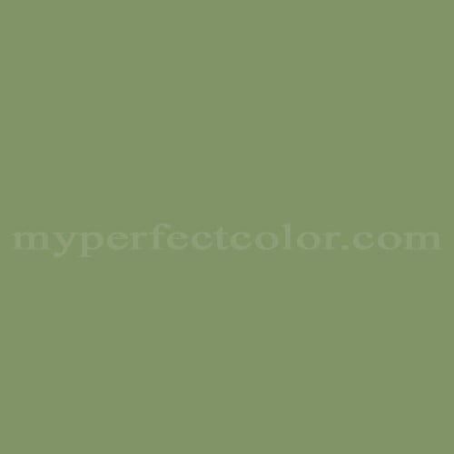 Sherwin Williams SW1440 Pesto Precisely Matched For Paint and Spray Paint