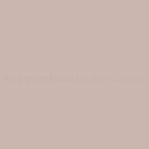 Sherwin Williams SW2157 Nomad Precisely Matched For Paint and Spray Paint