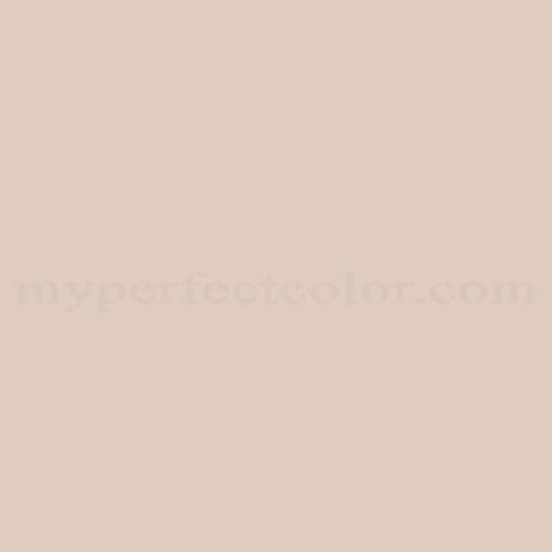 Sherwin Williams SW2165 Rococo Beige Precisely Matched For Paint and ...