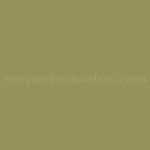 Sherwin Williams SW6424 Tansy Green Precisely Matched For Paint and ...