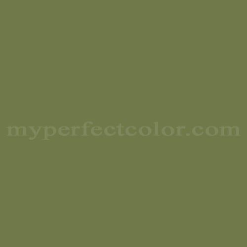 Sherwin Williams SW6432 Garden Spot Precisely Matched For Paint and ...