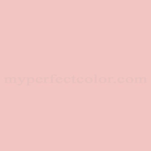 Sherwin Williams SW6596 Bella Pink Precisely Matched For Paint and ...