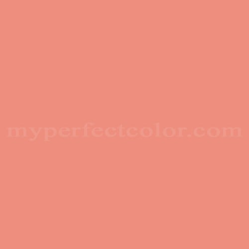 Sherwin Williams SW6878 Animated Coral Precisely Matched For Paint and ...