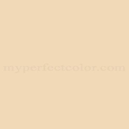 Sherwin Williams SW7684 Concord Buff Precisely Matched For Paint and ...