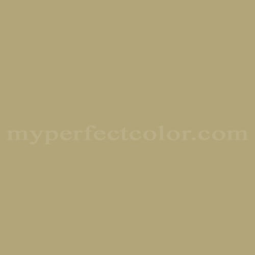 Sherwin Williams SW7733 Bamboo Shoot Precisely Matched For Paint and ...