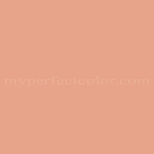 Soft Coral Color